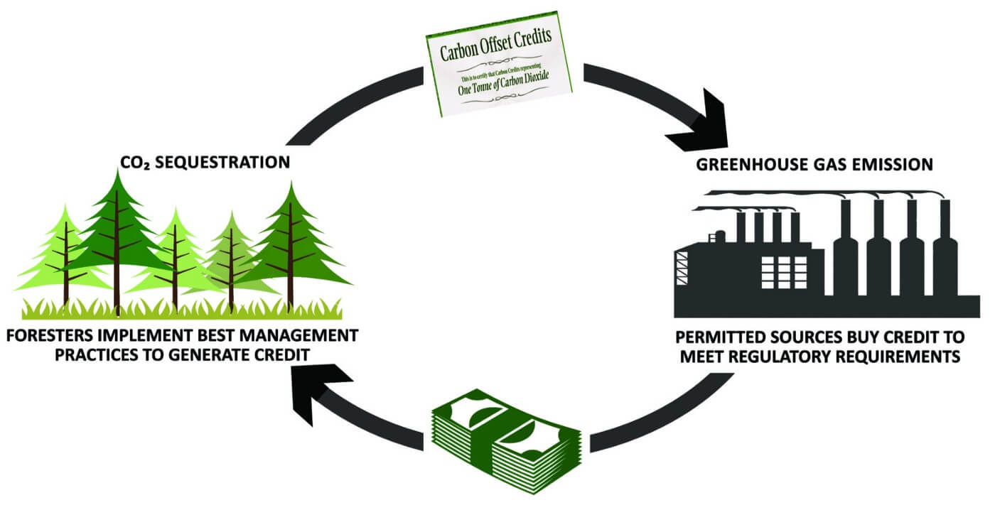 Blockchain's Impact on Carbon Footprint Reduction - Redefining Climate ...