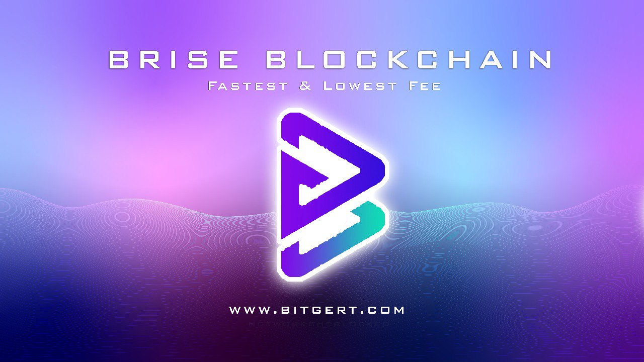 The Exponential Growth of the Bitgert Ecosystem Could Overtake Solana ...